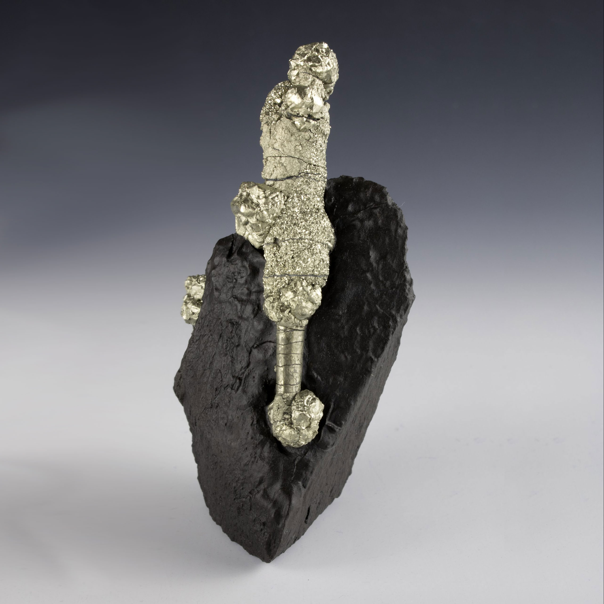 Pyrite after Baculites yokohami from Colorado. - ROCKYGEMS.COM Marketplace