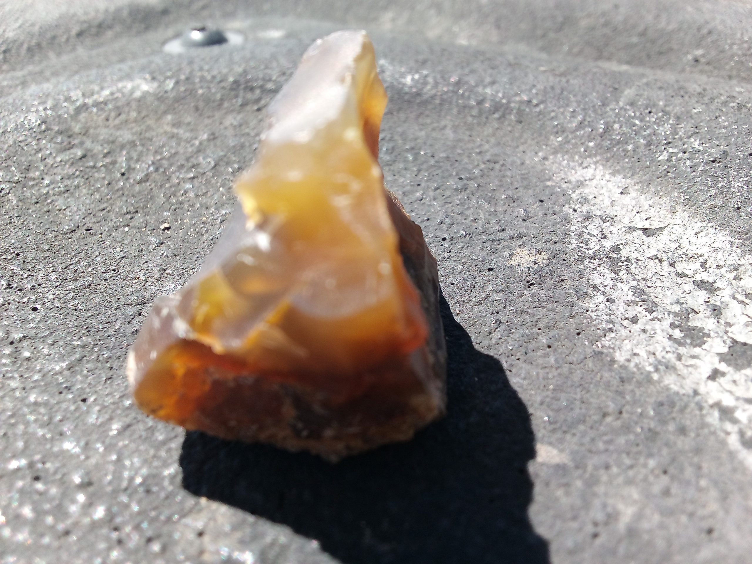 Fossils Archives - ROCKYGEMS.COM Marketplace